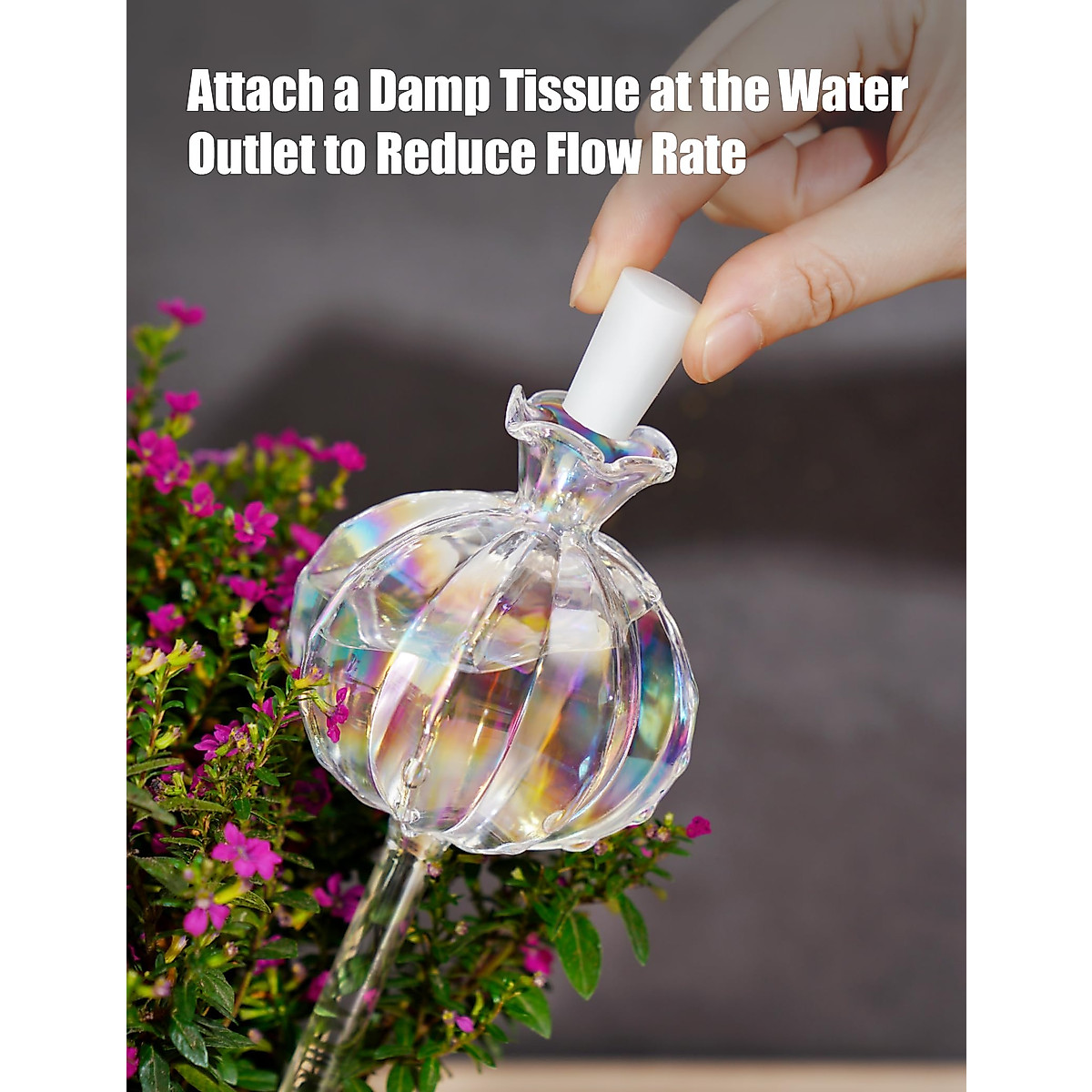 NiHome Plant Watering Globes 2-Pack, Iridescent Glass Cactus Self Watering Globe, Glass Waterer for Potted Plants - 4.7OZ/140 ML Capacity Automatic Mini Irrigation System, Adorable Gardening Gift