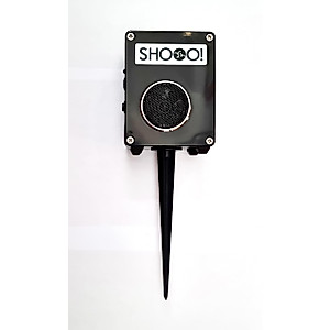 Acoustic Bird Scarer. Pigeons, Seagulls, Starlings and Woodpecker Repellent. Raptor and Bird Distress Audio Call Deterrent. Battery Operated Repeller for Outside