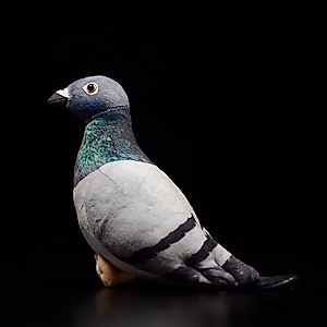 Grey Pigeon Plush Toy - Simulation Rock Columba Rupestris Stuffed Animal, Cute Rock Pigeon Plush Toy as Gift for Your Friends