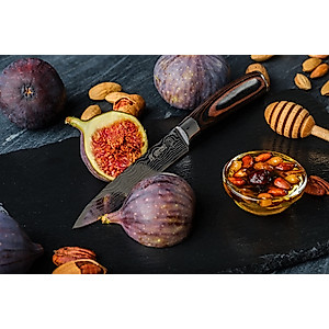 Yatoshi 9 Piece Block Set - Pro Kitchen Knife Set Ultra Sharp High Carbon Steel with Ergonomic Handle