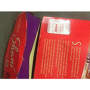 Barbie NICHELLE Shami Doll - The Marvelous World of Shami & Her Friends! (1991 Mattel)