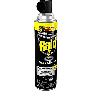 Raid Wasp and Hornet Killer, 17.5 OZ (Pack of 3)