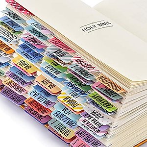 Bible Tabs Old and New Testament, Bible Tabs for Women/Men/Kids, 100 Pcs Bible Book/Index Tabs for Study Bible, Bible Chapter Tabs for Journaling Bible, Easy-to-Read, 66 Books, 8 Ref, 19 Blank Tabs
