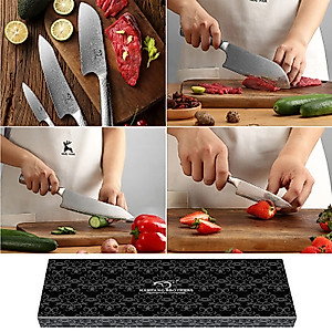 3 Pieces Damascus Kitchen Knife Set with 8” Chef Knife, 7” Santoku Knife, 3.5” Paring Knife, 67 Layer Handmade Damascus VG10 Steel Core, Hammered Ergonomic Handle (Gift Box)