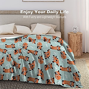 Red Panda Blanket Warm Cozy Red Panda Bamboo Flannel Throw Blanket for Travel Living Room Home Kids Adults 50"X40"