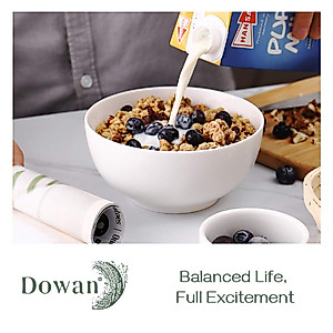 DOWAN Ceramic Soup Bowls, Cereal Bowl, 22 Ounce Bowls Set, Chip Resistant, Dishwasher & Microwave Safe, Porcelain Bowls for Kitchen, White Bowls for Cereal Soup Rice Pasta Salad Oatmeal, Set of 4