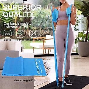 Lianjindun 5 Pcs Professional Resistance Bands. Latex-Free, Elastic Band, Work Out Bands, Stretch Bands for Working Out Women or Men, Exercise Bands Set for Physical Therapy, Yoga, Pilates