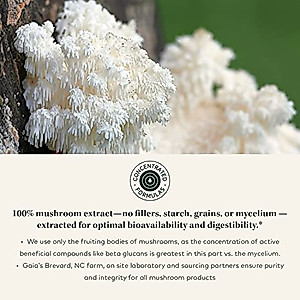 Gaia Herbs Lion’s Mane Mushroom - Brain and Nerve Support Supplement to Help Maintain Neurological Health - with Organic Lion's Mane Mushrooms - 40 Vegan Liquid Phyto-Capsules (40-Day Supply)