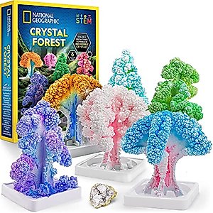 NATIONAL GEOGRAPHIC Craft Kits for Kids - Crystal Growing Kit, Grow 6 Crystal Trees in Just 6 Hours, Educational Craft Kit with Art Supplies, Geode Specimen, STEM Arts & Crafts Kit (Amazon Exclusive)