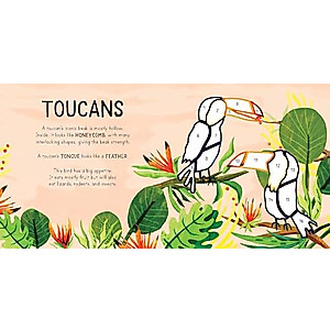 Color with Stickers: Jungle: Create 10 Pictures with Stickers!