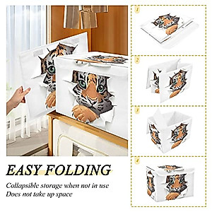 CaTaKu Animal Cute Tiger Storage Bins with Lids and Handles, Fabric Large Storage Container Cube Basket with Lid Decorative Storage Boxes for Organizing Clothes