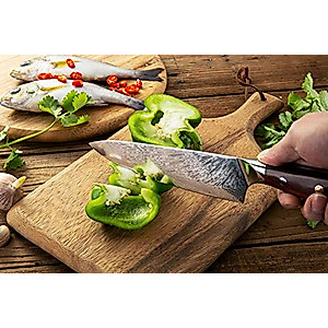 FANTECK Chef Knife 8 Inch Professional Damascus Chef Knife High Carbon 67 Layers VG-10 Damascus Knife Stainless Steel Ultra Sharp Blade Kitchen Meat Cutting Knife [Gift Box]-Ergonomic Rose Wood Handle