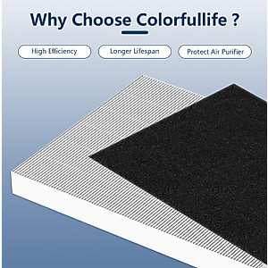 115115 Replacement Filter A Size 21 Compatible with Winix PlasmaWave 5300-2, C535, P300, 6300-2, 5300, 9000 Air Purifier, 2 True HEPA Filter 8 Carbon Pre-Filters