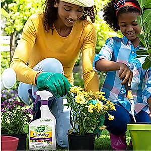 Garden Safe Brand Fungicide3, Ready-to-Use, 24-Ounce, 2 Pack