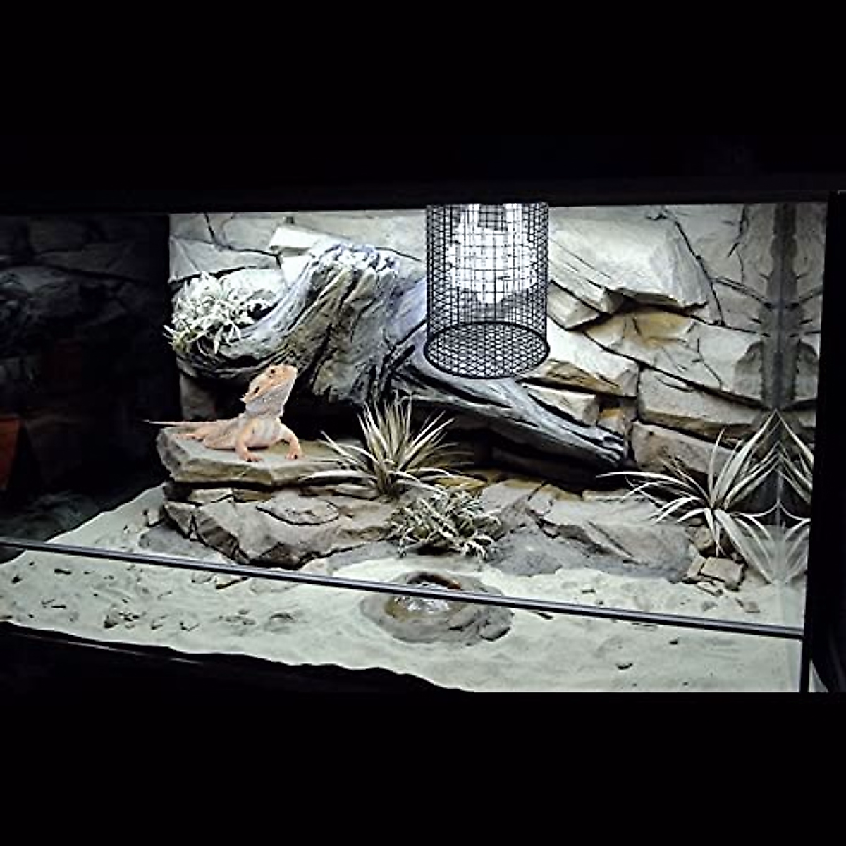 kathson Reptile Lampshade Lizard Heat Lamp Guard Anti-Scald Lamp Mesh Cover Pet Coop Protection Heater Light Bulb Enclosure Cage Protector for Turtles, Lizards, Snakes and Amphibians