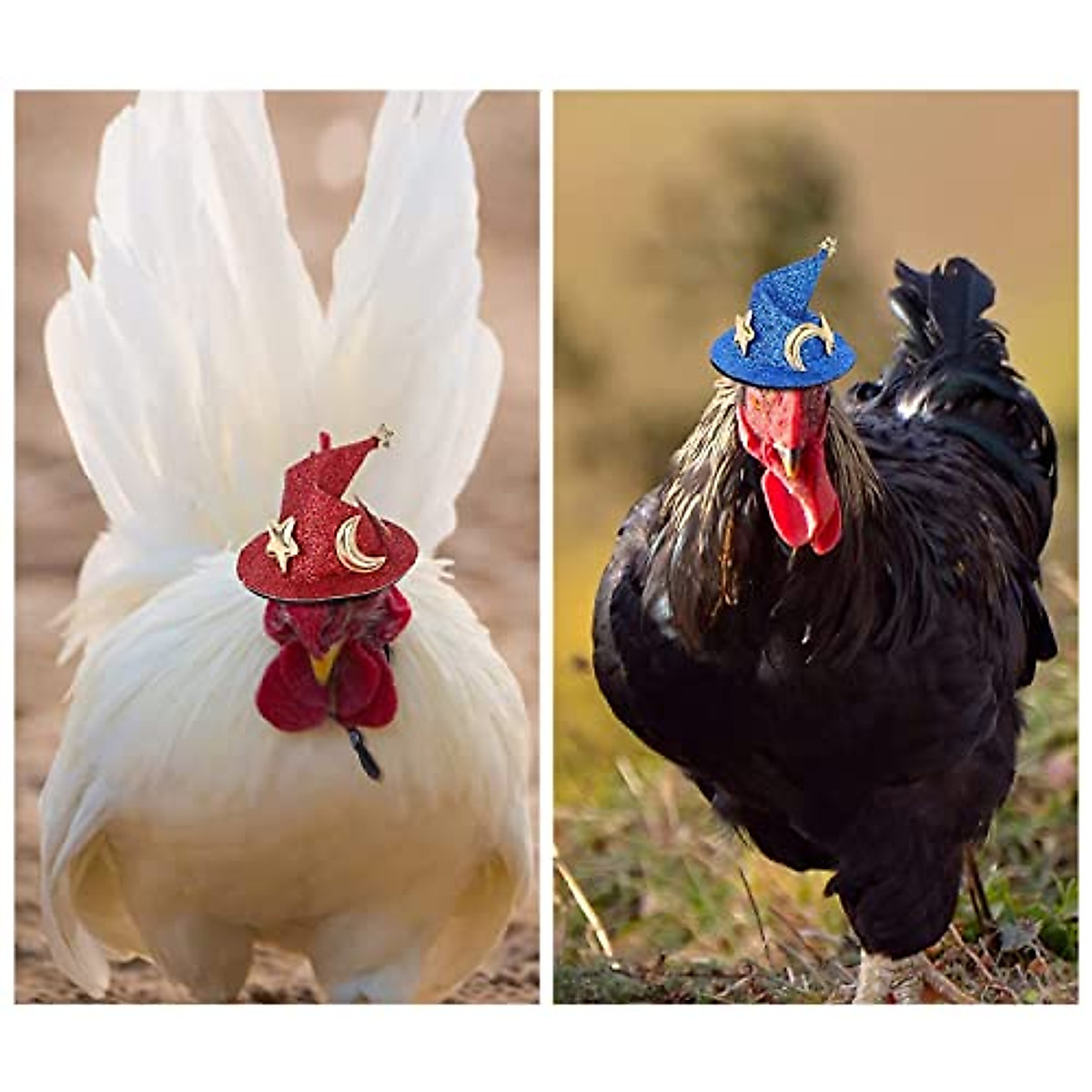 4 Pack Small Animal Halloween Wizard Hat with Elastic Chin Strap for Hamster Bearded Dragon Chinchilla Ferret Guinea Pig Cosplay Party Dress up Apparel Outfit (4 Pack)