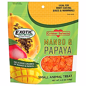 Mango & Papaya Treat (4.5 oz.) - Healthy Natural Dried Fruit Treat - For Sugar Gliders, Hedgehogs, Prairie Dogs, Chinchillas, Monkeys, Squirrels, Skunks, Parrots, Degus, Marmosets & Other Small Pets