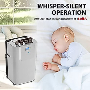 Whynter ARC-122DS 12,000 (7,000 BTU SACC) Elite Dual Hose Portable Air Conditioner, Dehumidifier, Fan and Storage Bag, up to 400 sq ft in Grey, Stainless Steel -2.1 Cubic Feet, Multi