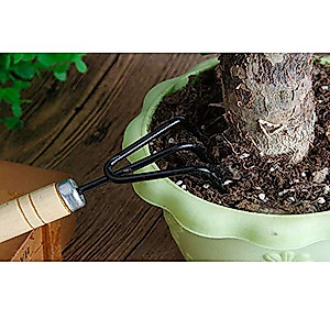 Diligent Farmer Mini Garden Tool Set, 3 Piece Hand Suit Small Shovel/Rake/Spade Ideal for Men and Women