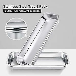 Annhua 304 Stainless Steel Lab Tray 3 Pack Surgical Instrument Trays 8.86" x 4.7" x 0.8", Lab Tray Small for Laboratory, Tattoo Station, Bathroom Organizer