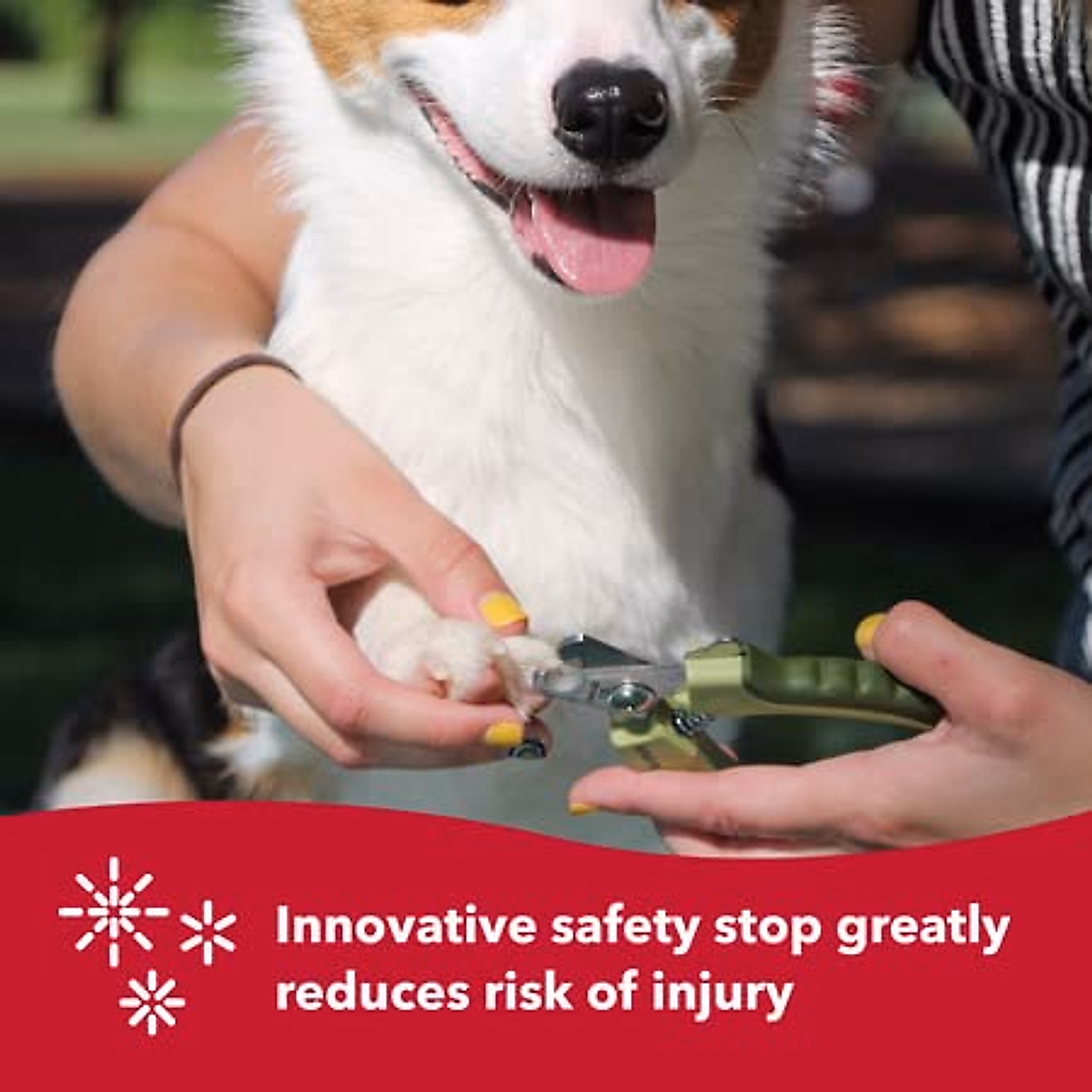 Coastal Pet Safari Professional Dog Nail Trimmer - Pet Nail Clippers for Large Dogs - Safety Stop & Non-Slip Grip - Large - 6.6" x 2"