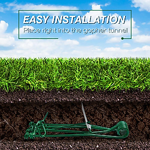 Qualirey 4 Pcs Outdoor Gopher Trap Easy Set Mole Trap Weather Resistant Gopher Killer Vole Trap for Lawn Garden Farm (Green)