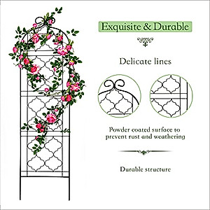 Garden Trellis for Vines and Climbing Plants Outdoor, Iron Wire Lattices Grid Panels for Potted Climbing Pergola Cucumber Tomato Rose Vegetable Flower Plant Trellises (60 * 16 Inch, Pack of 2, Black)