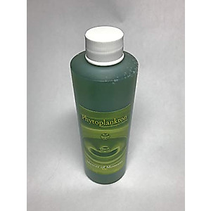 Live Marine Phytoplankton - 8oz Bottle