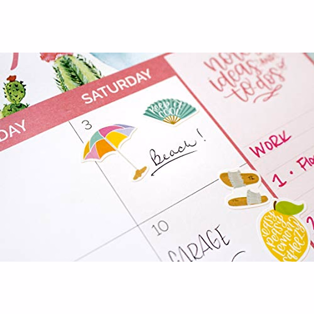 bloom daily planners Planner Sticker Value Pack (13 Unique Sheets / 1,000+ Aesthetic Stickers) - New Variety Assortment Bundle for Planning & Decorating