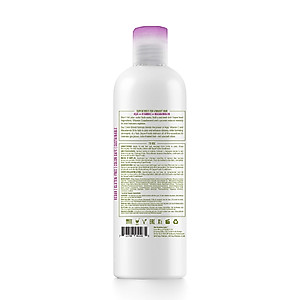 Petal Fresh SuperFoods Color Shield Shampoo (Açaí, Vitamin C & Macadamia Oil) | SuperFoods Beauty