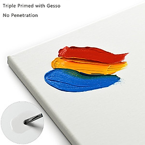 MEEDEN Stretched Canvas, 18 × 24 Inch, Pack of 6, Blank White Canvases for Painting, 100% Cotton, 8 oz Gesso-Primed, Pre-Stretched Canvas for Acrylic Oil Pouring & Airbrushing Painting