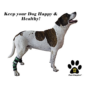 Paw Empire - Pair of Dog Leg Braces, Ultra Supportive, Comfortable, Dual Metal Springs, Canine Hock Brace for Joint Arthritis, Assists Injury & Sprains (Pink Stars, Large)