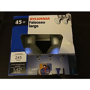 Bulb Reflec Flood 45w R-20