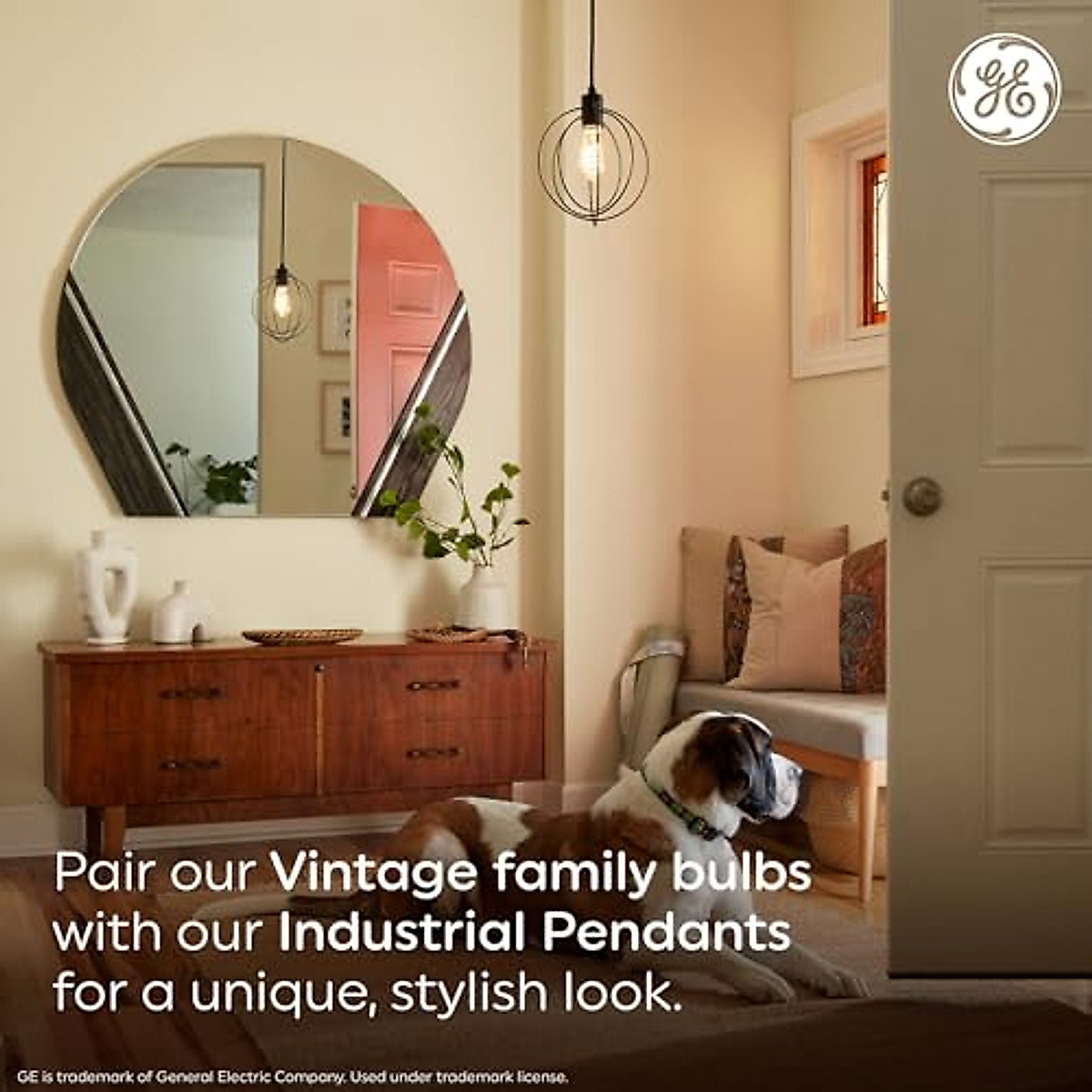 GE Vintage Style LED Light Bulbs, 60 Watt, Amber Finish, ST19 Edison Style Bulbs (6 Pack)