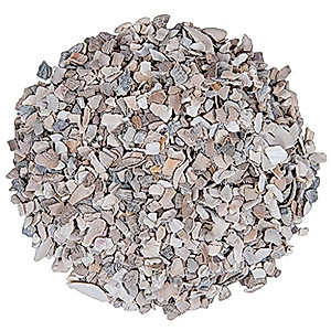 Small Pet Select Flaked Oyster and Seashell Mix - Calcium Supplement for Chickens & Ducks (10lb)