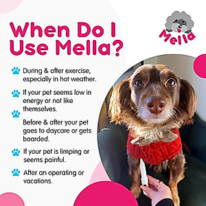 Mella Pet Thermometer - Non-Invasive - Underarm Fever Detection for Dog & Cat - Puppy Essentials and Pet Supplies