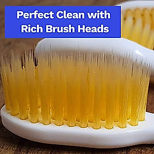 cladent Gold Nano Toothbrush Soft Toothbrushes for Adults, Double Layered Soft Bristle Toothbrush,BPA Free,Travel Toothbrush,Toothbrush Bulk,4 Colors,6 Count (6 Count)
