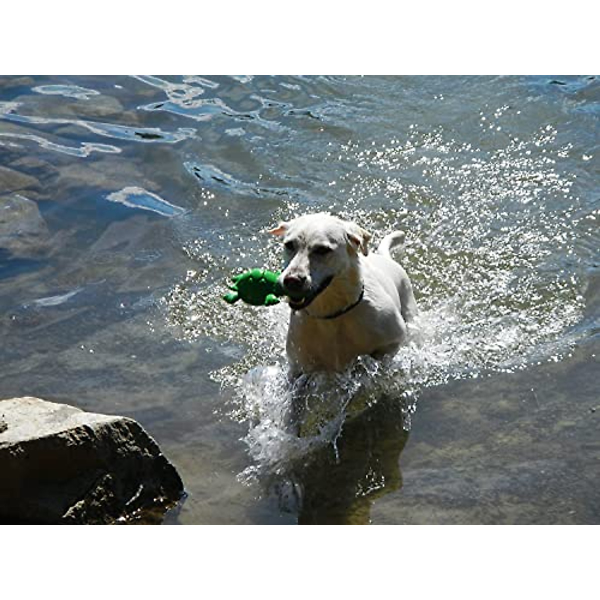 Cycle Dog Small Blue 3-Play Hippo Dog Toy with Ecolast Recycled Material - Tough & Sustainable Chew Toy for Dogs & Puppies/Treat Dispenser/Floats Above Water/Indestructible for Aggressive Chewers