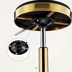 LWBLJX Rolling Bar Stool Beauty Salon Counter Makeup Medical Chair with Swivel Wheels, PU Leather Seat & Stainless Steel Frame, Adjustable 44-59 cm(Color:Blue)