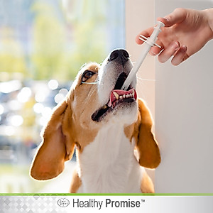 Four Paws Healthy Promise Dog & Cat Supplements & Remedies | Superblend Pre & Probiotic, Skin & Coat, Calming, Immunity, Multivitamin, Hip & Joint