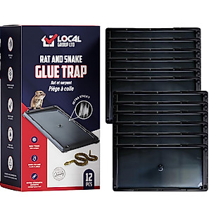 Sticky Mouse Pads 12-Pack | Large Glue Boards for Mice, Rats, and Snakes | Non-Toxic Heavy Duty Glue Boards for Indoor Use, Rodents, Spiders