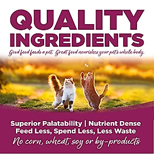 NutriSource Cat & Kitten Food, Made with Chicken and Rice, with Wholesome Grains, 6.6LB, Dry Cat Food