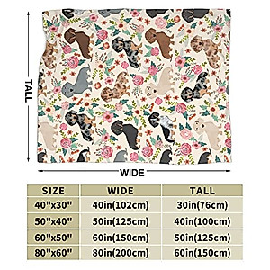 Majoug Cute Dachshund Pattern Sausage Pattern Throw Blanket Soft Lightweight Cozy Premium Flannel Warm Bed Blanket for Bedroom Living Couch All Seasons 60"X50"
