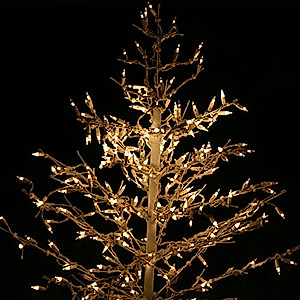 Twinkle Star 2 Pack Christmas Clear Outdoor Lights, White Wire 150-count Lights 120V UL Certified Incandescent Mini String Light, Connectable for Xmas Tree Home Patio Holiday Party Garden Decorations