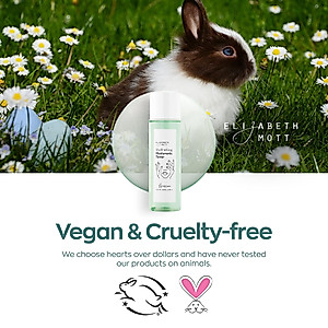 Elizabeth Mott Hyaluronic Acid Toner for Face & Moisturizing Glow Essence with Antoxyl-S, K-Beauty Hydrating Skincare for Dry or Sensitive Skin, Cruelty-Free, Vegan 2-in-1 Toner Serum 5.07 fl oz