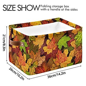 Dry Autumn Leaves Storage Basket Fall Maple Tree Storage Organizer Box Bin Large Collapsible Cube Baskets with PU Handles for Shelf Closet Nursery Laundry 1 Pack