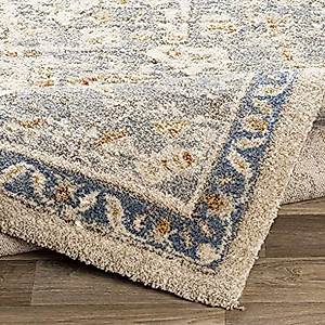 Hauteloom Chesnee Living Room, Bedroom Area Rug - Updated Traditional - High Pile - Blue, Yellow - 7'10"