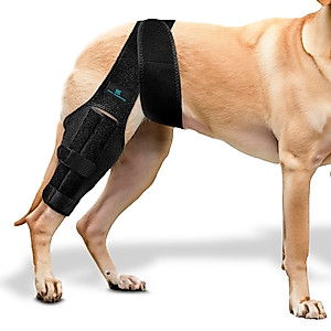 Dog Leg Braces for Back Leg - Dog Knee Brace For Support With Cruciate Ligament Injury, Joint Pain And Muscle Sore,- Dog Knee Brace for Torn ACL Hind Leg Adjustable Rear Leg Braces (Large)
