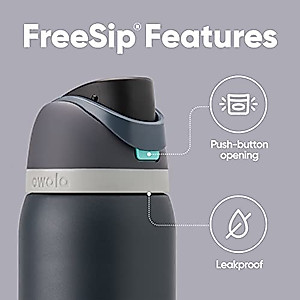 Owala FreeSip Insulated Stainless Steel Water Bottle with Straw for Sports and Travel, BPA-Free, 24oz, Foggy Tide