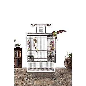 Prevue Pet Products Large Stainless Steel Play Top Bird Cage, Rust Resistant Metal Cage for Birds with Rooftop Ladder and Playtop